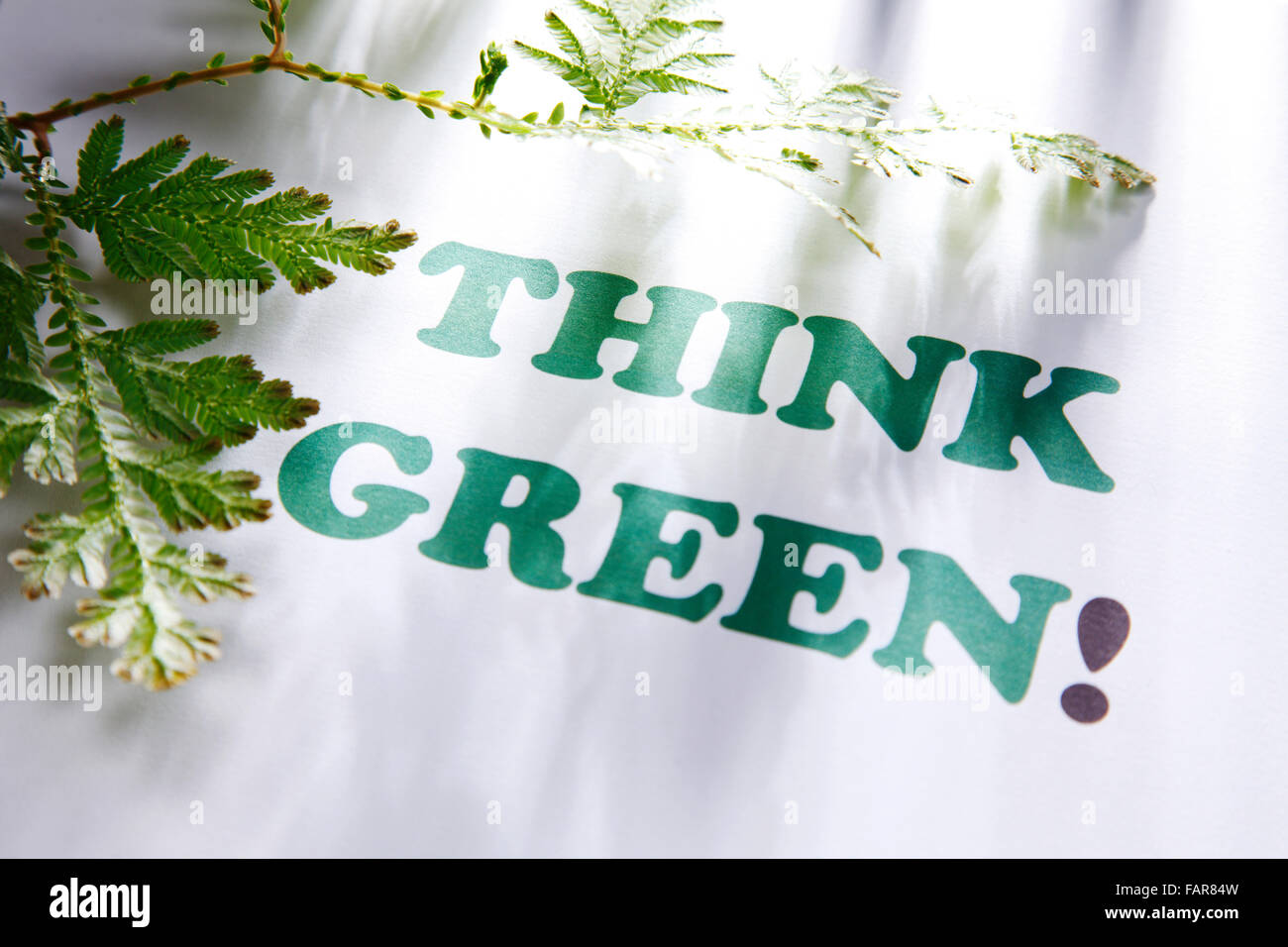 Save tree hi-res stock photography and images - Alamy