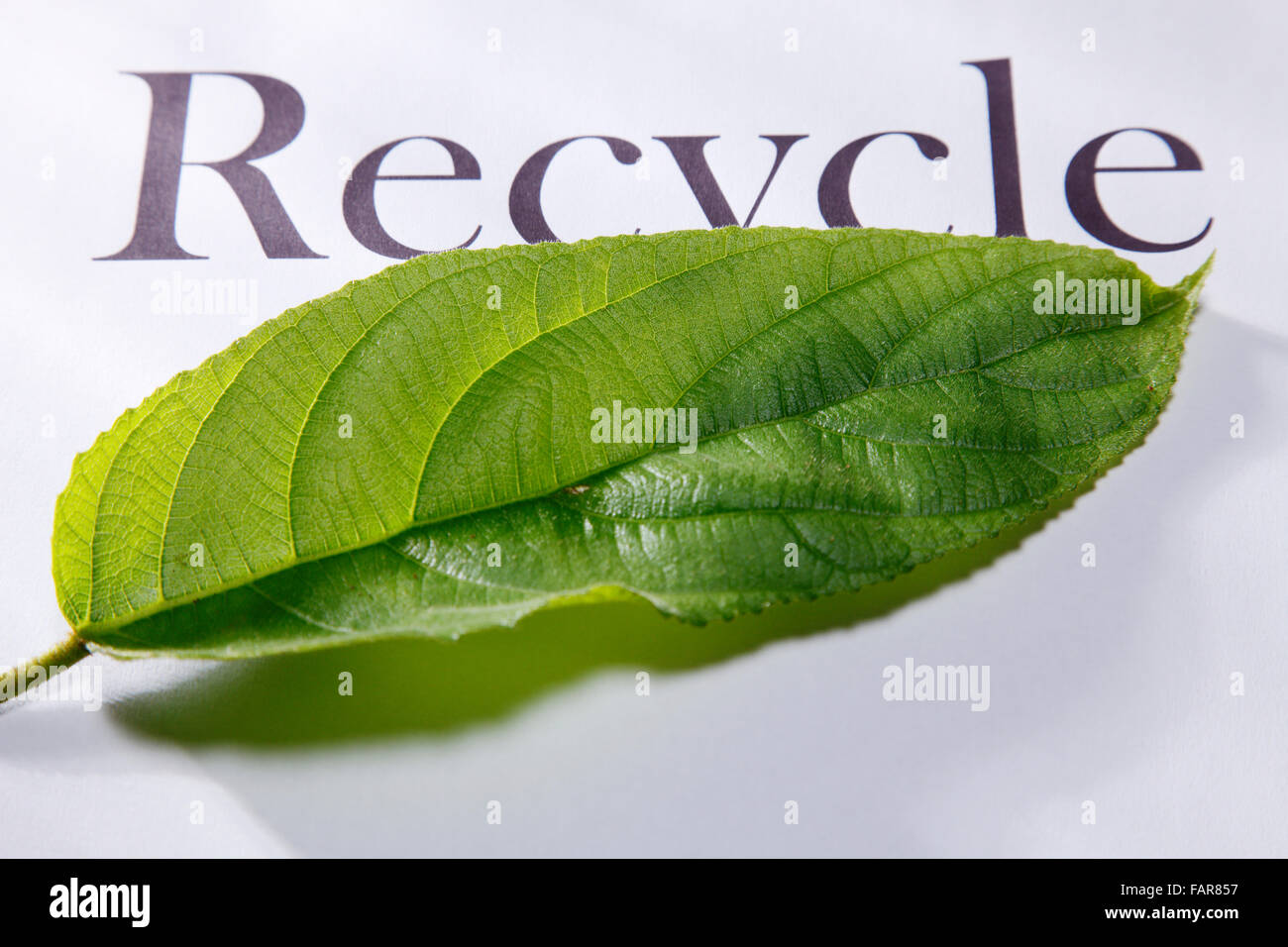 stock image of the recycle Stock Photo - Alamy