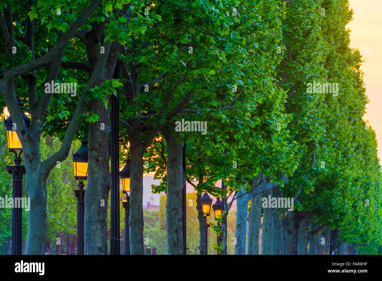 Boulevard mood hi-res stock photography and images - Alamy