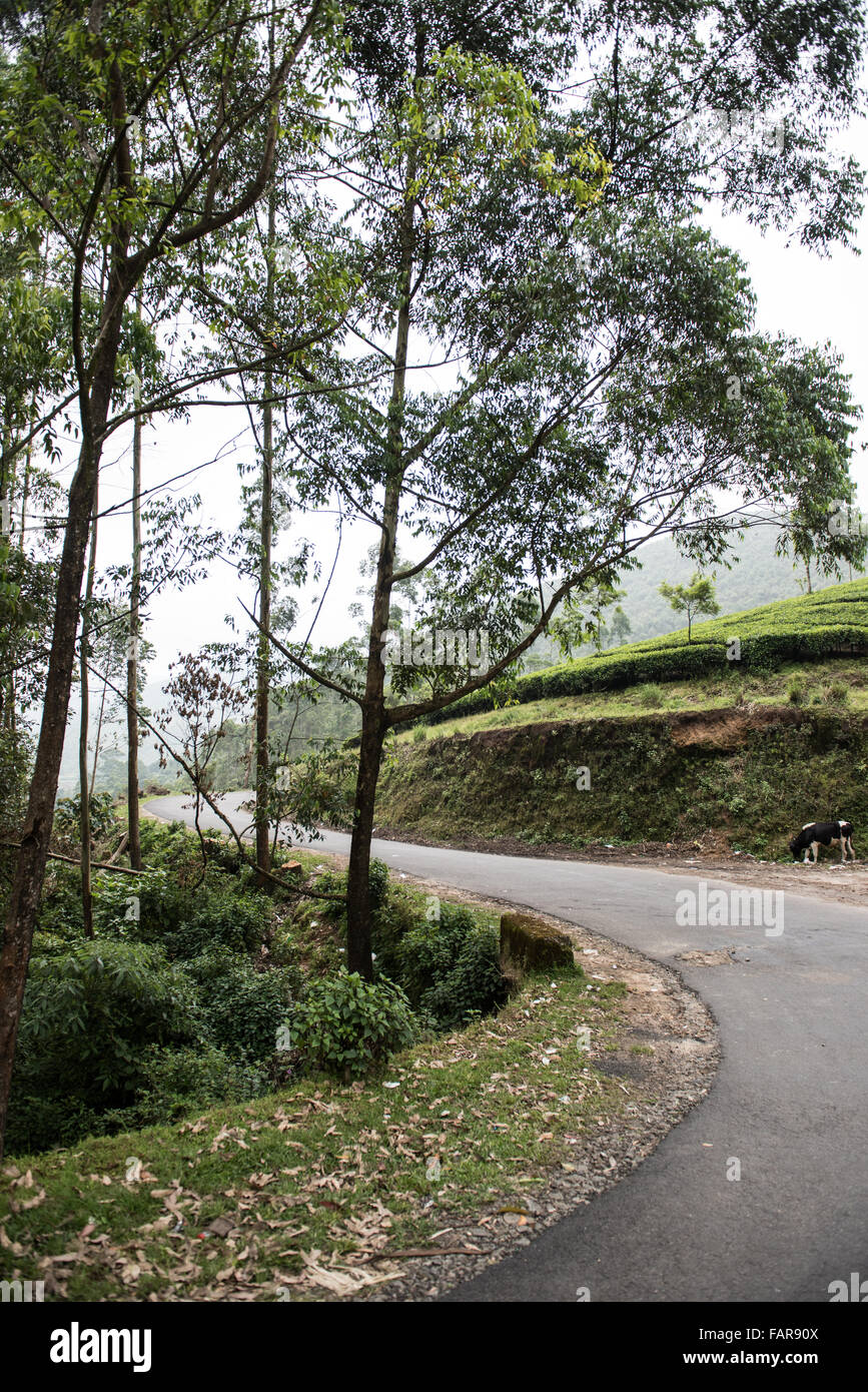 Road to Rajamala Hills Stock Photo - Alamy