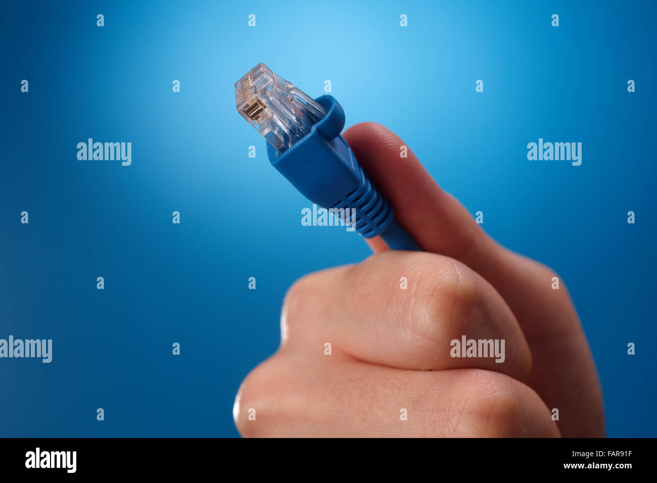 Human hand holding an Internet connection cable Stock Photo - Alamy