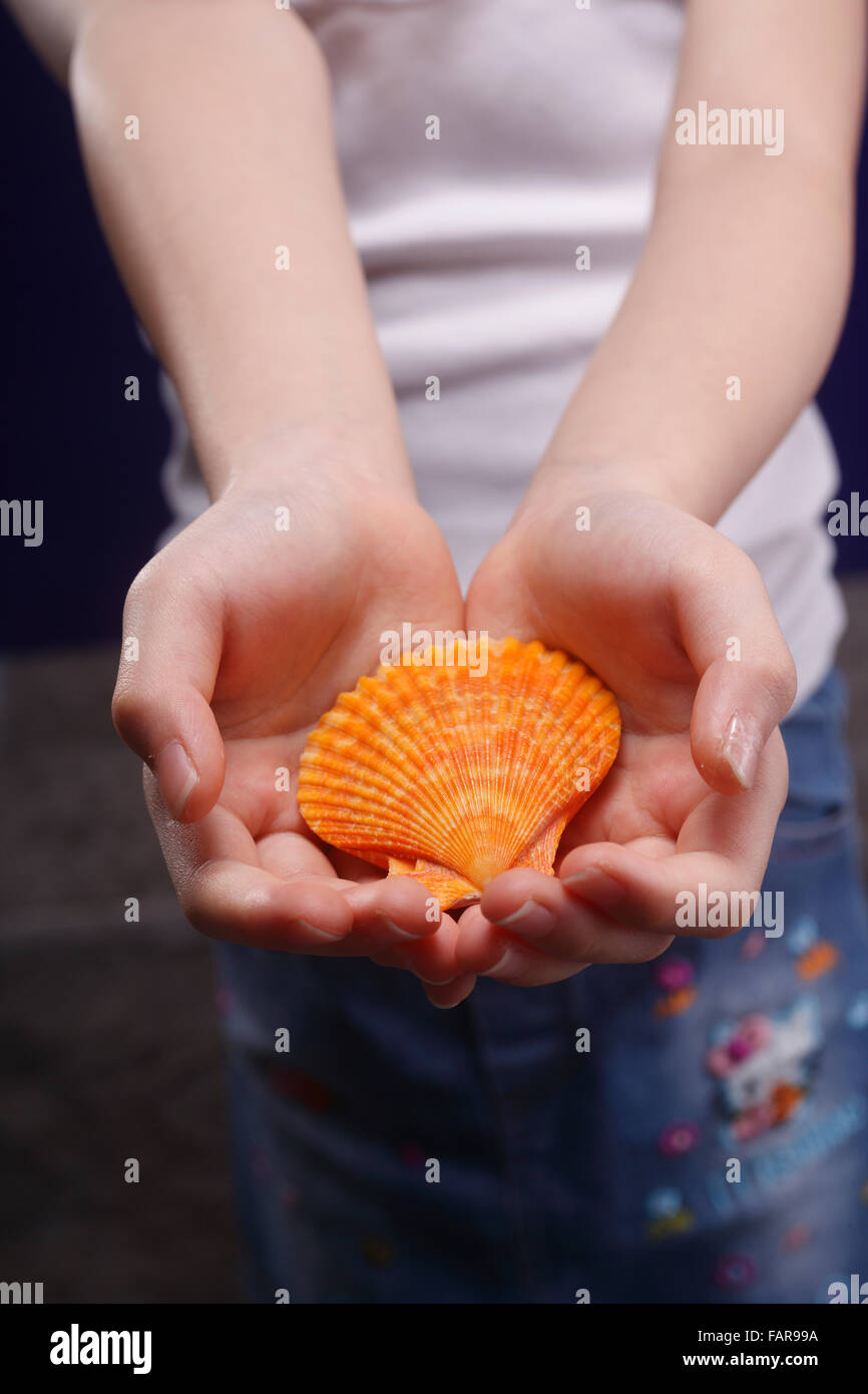 Little girl holding a seashell in both of her hands Stock Photo - Alamy