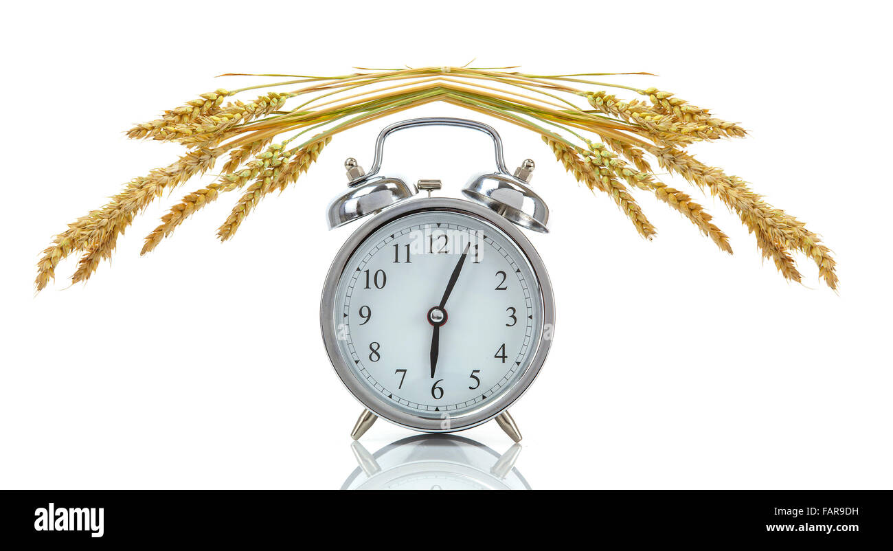 Country concept. Clock with wheat showing time of harvest Stock Photo ...