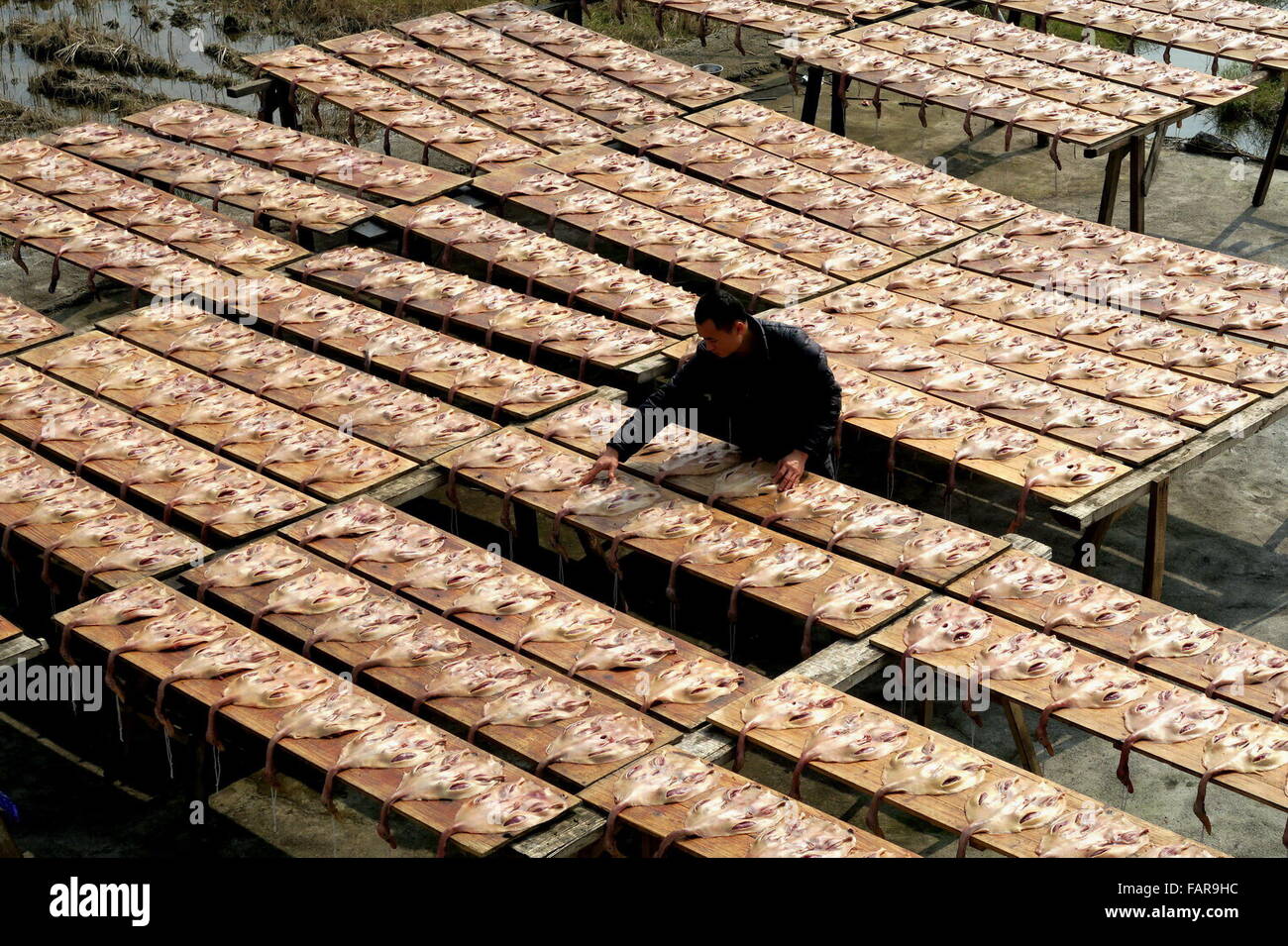 Guilin, China's Guangxi Zhuang Autonomous Region. 3rd Jan, 2016. A ...