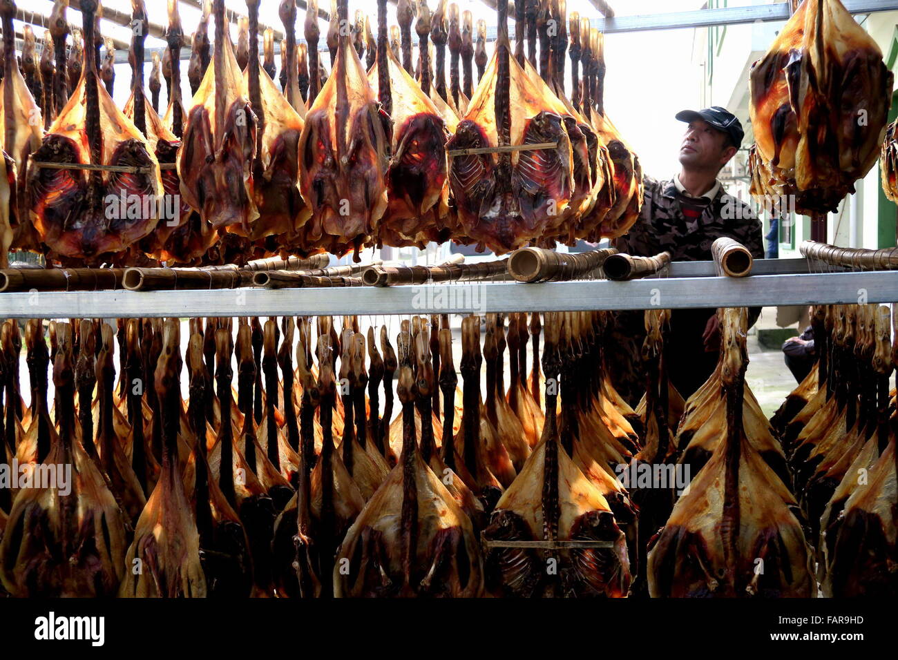Guilin, China's Guangxi Zhuang Autonomous Region. 3rd Jan, 2016. A ...