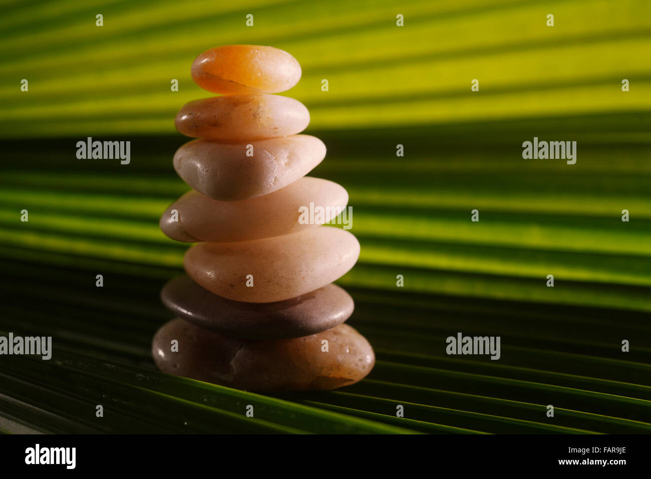 Green leaf stones hi-res stock photography and images - Alamy