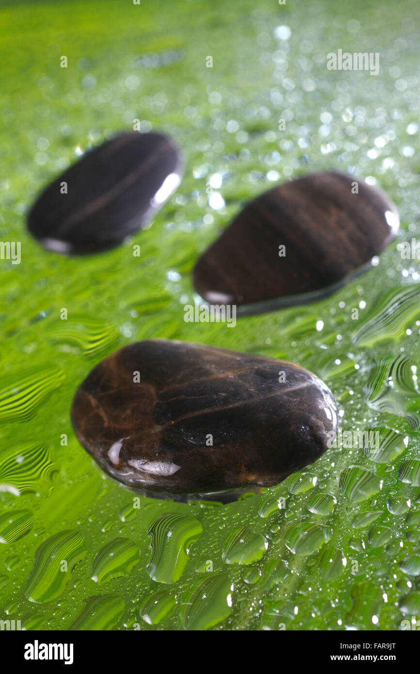 wet hotstones on green leaf Stock Photo - Alamy