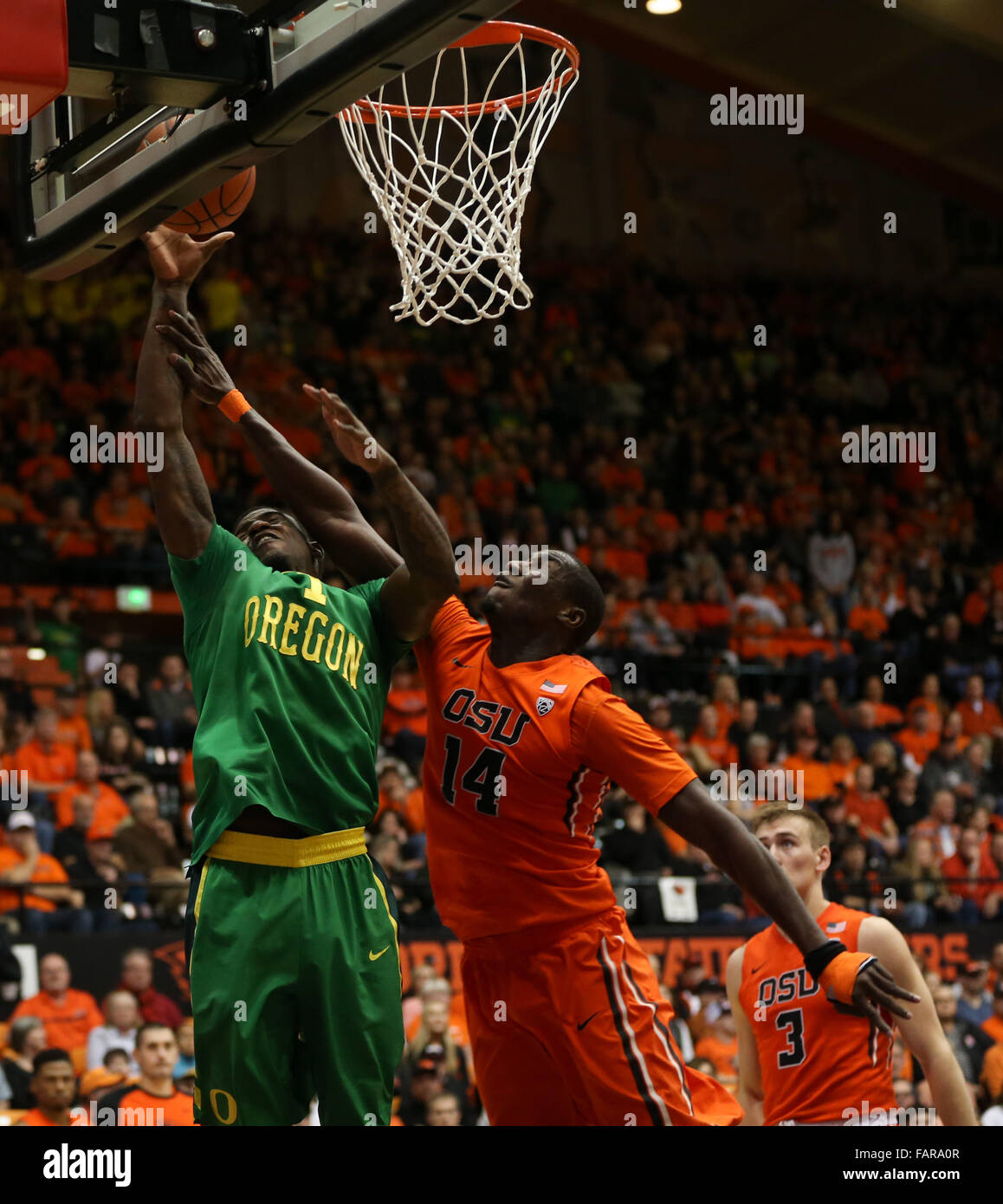 Corvallis, Oregon, USA. 3rd January, 2015. JORDAN BELL (1) is fouled ...
