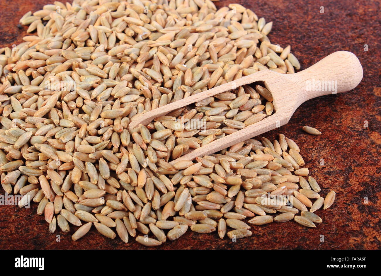 Heap of organic whole rye grain with wooden spoon Stock Photo - Alamy