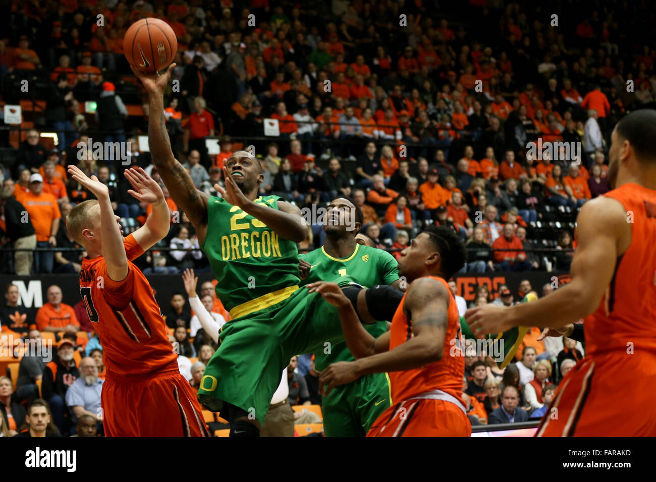 Gill coliseum hi-res stock photography and images - Alamy