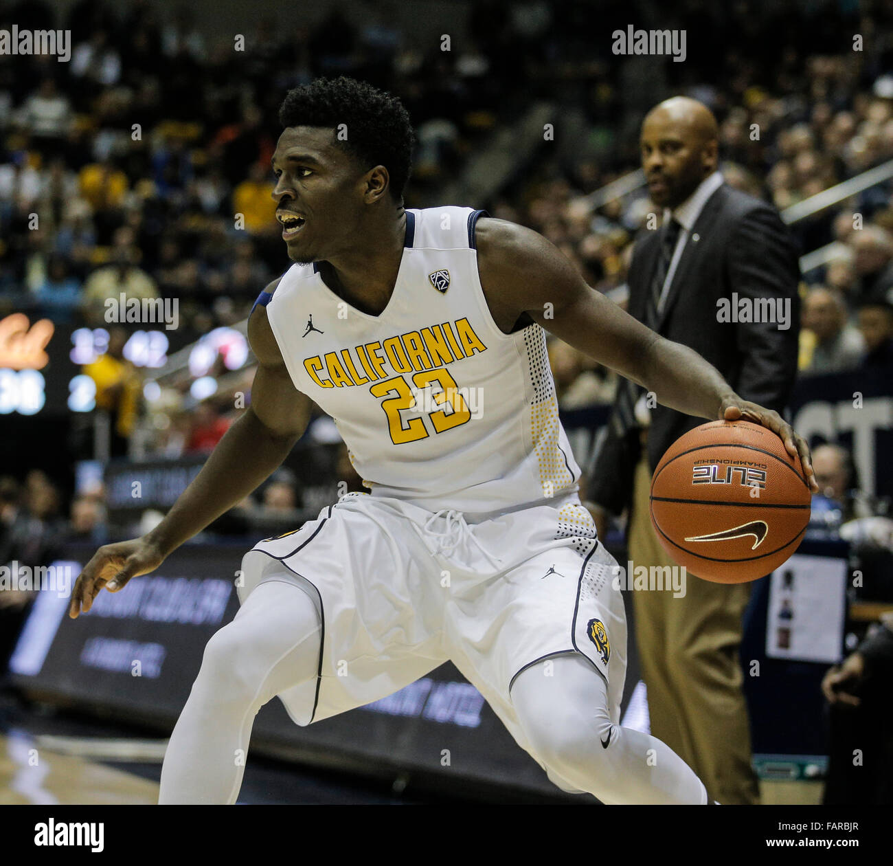 Jabari bird hi-res stock photography and images - Alamy