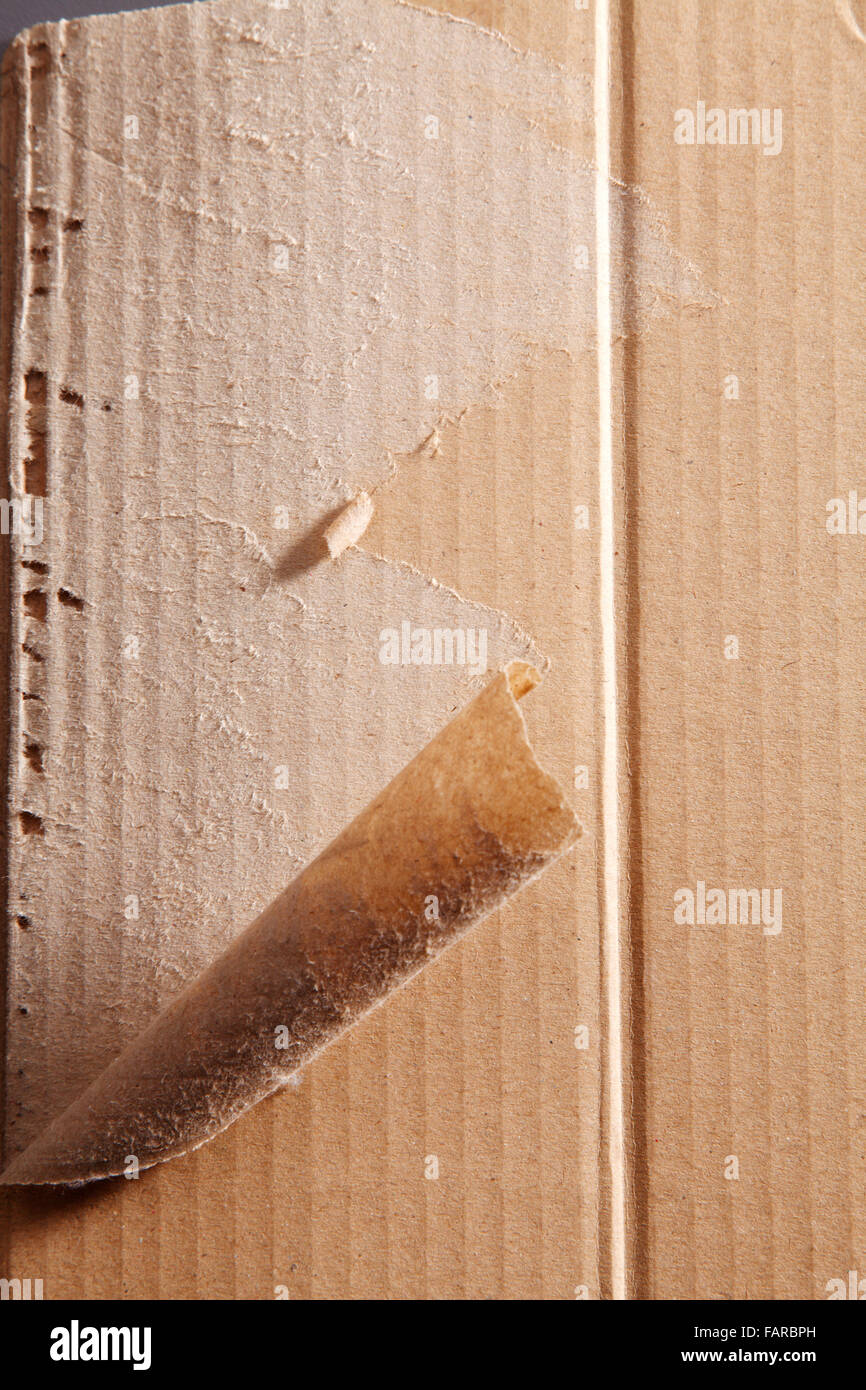 stock image of the torn card board Stock Photo - Alamy