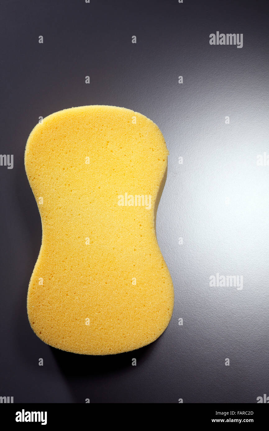 stock image of the sponge Stock Photo - Alamy