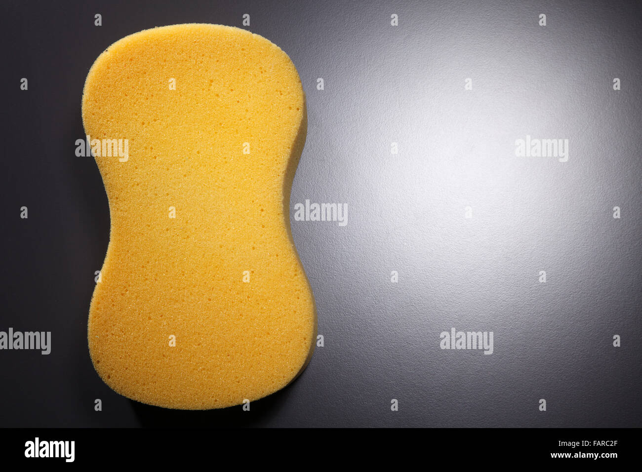 stock image of the sponge Stock Photo - Alamy