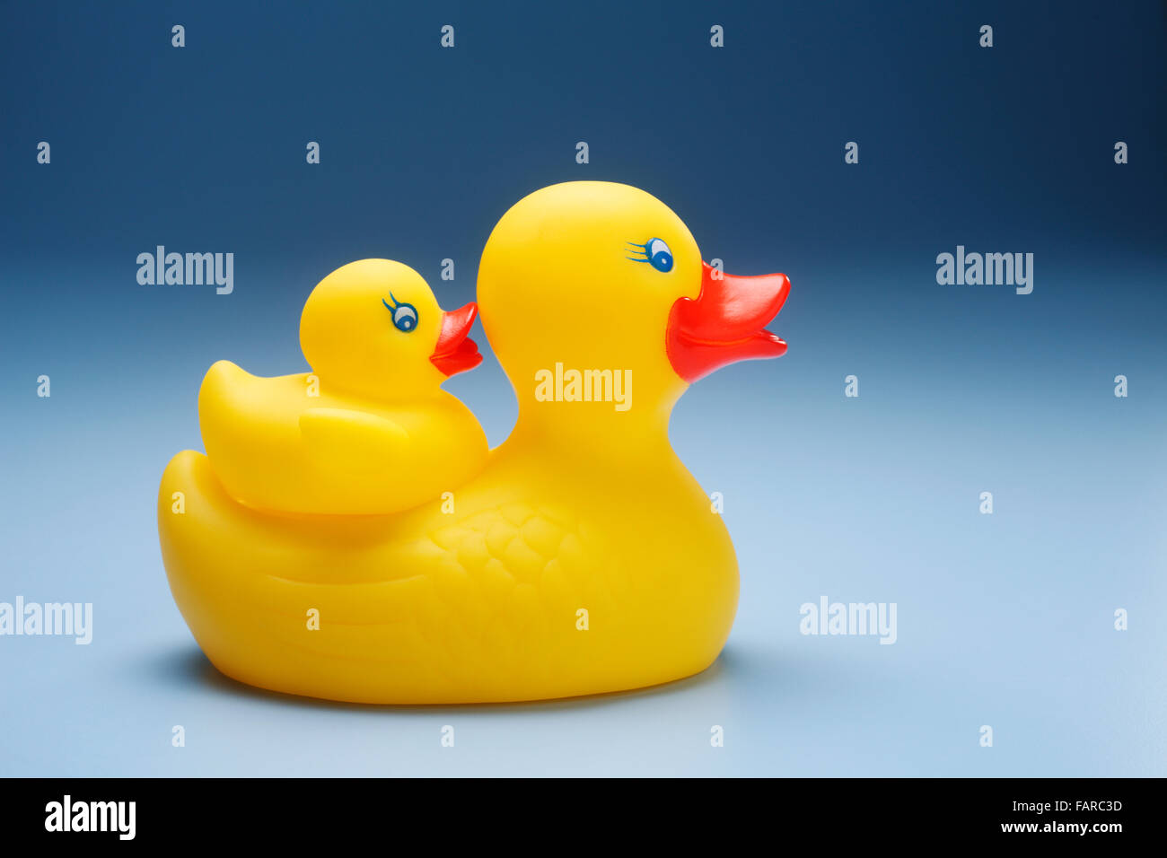 Rubber yellow duck isolated on coloured background Stock Photo - Alamy