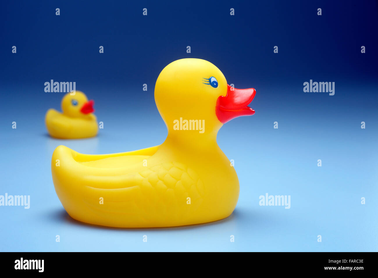 Rubber yellow duck isolated on coloured background Stock Photo - Alamy
