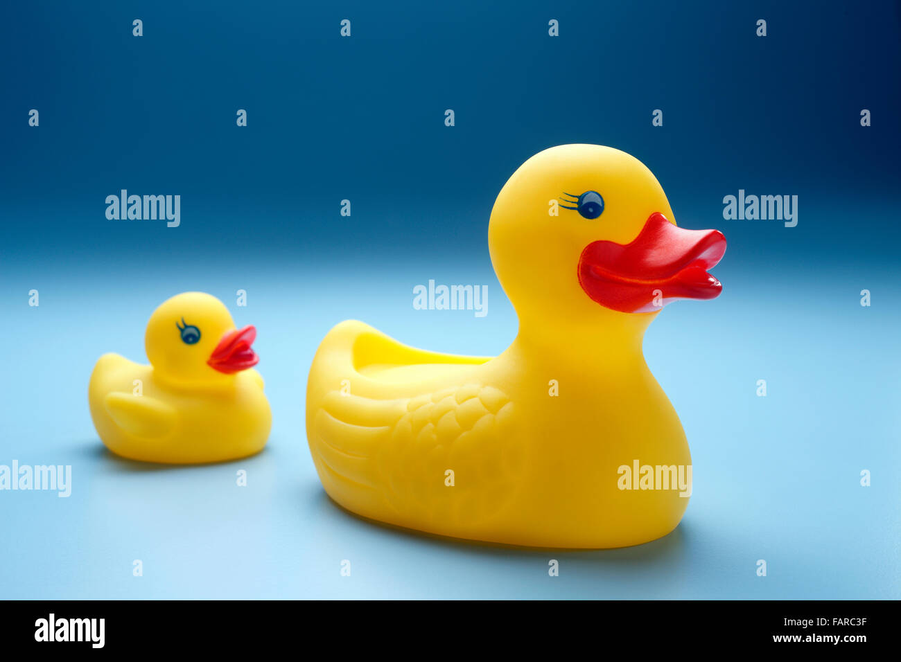 Rubber yellow duck isolated on coloured background Stock Photo - Alamy