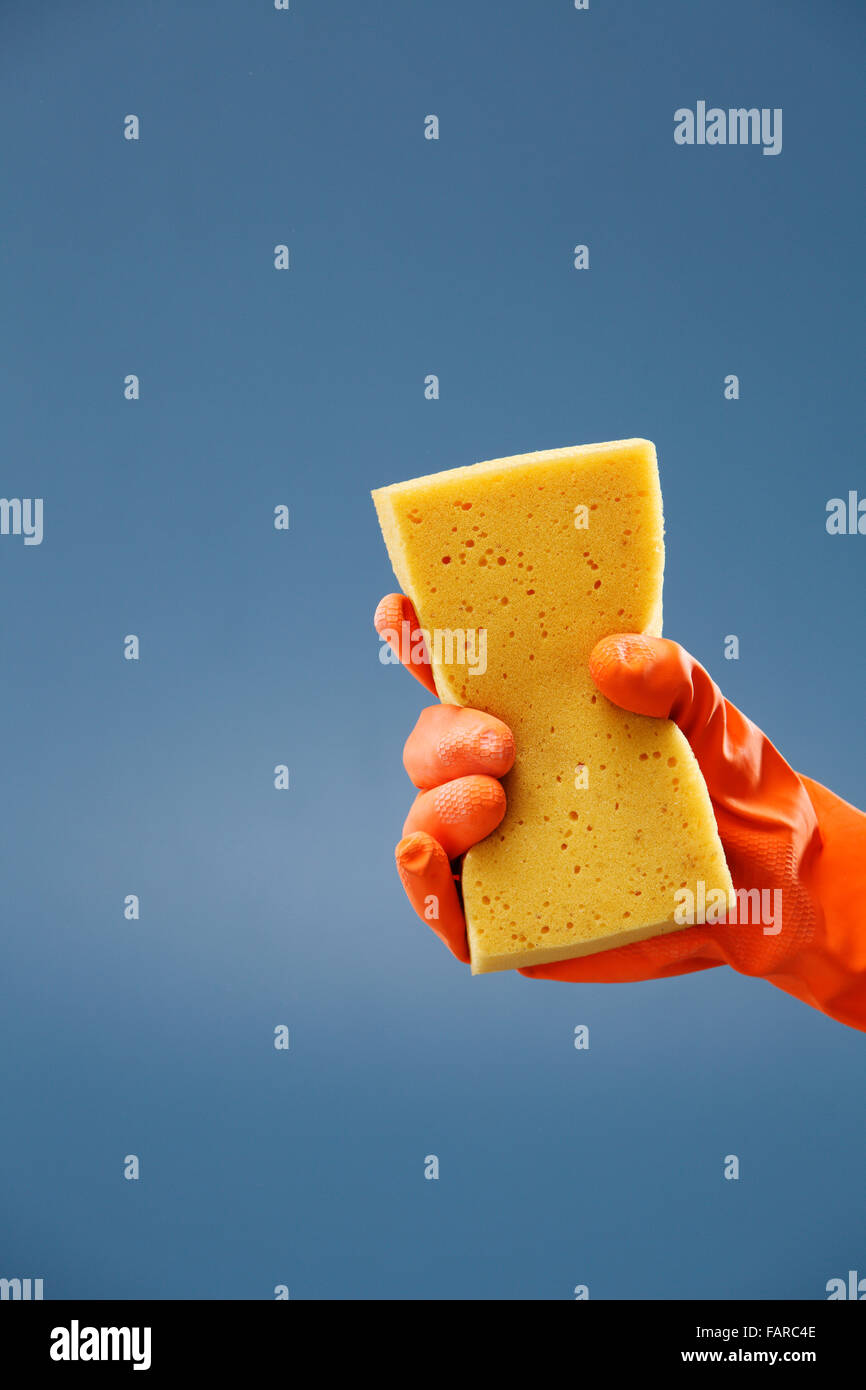 Squeezing cleaning sponge Stock Photo - Alamy