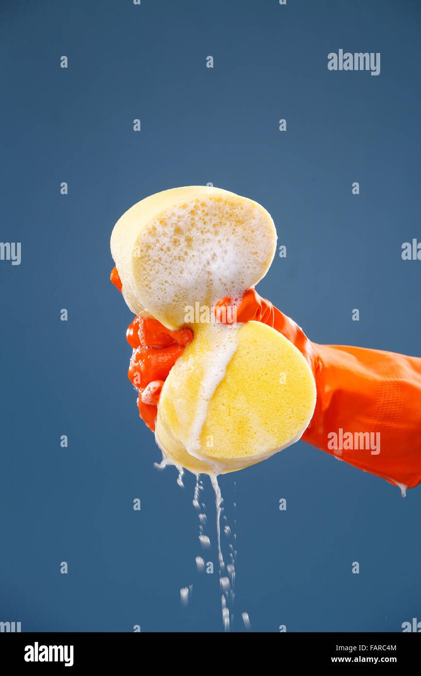 Squeezing sponge, squeezing wet sponge Stock Photo - Alamy