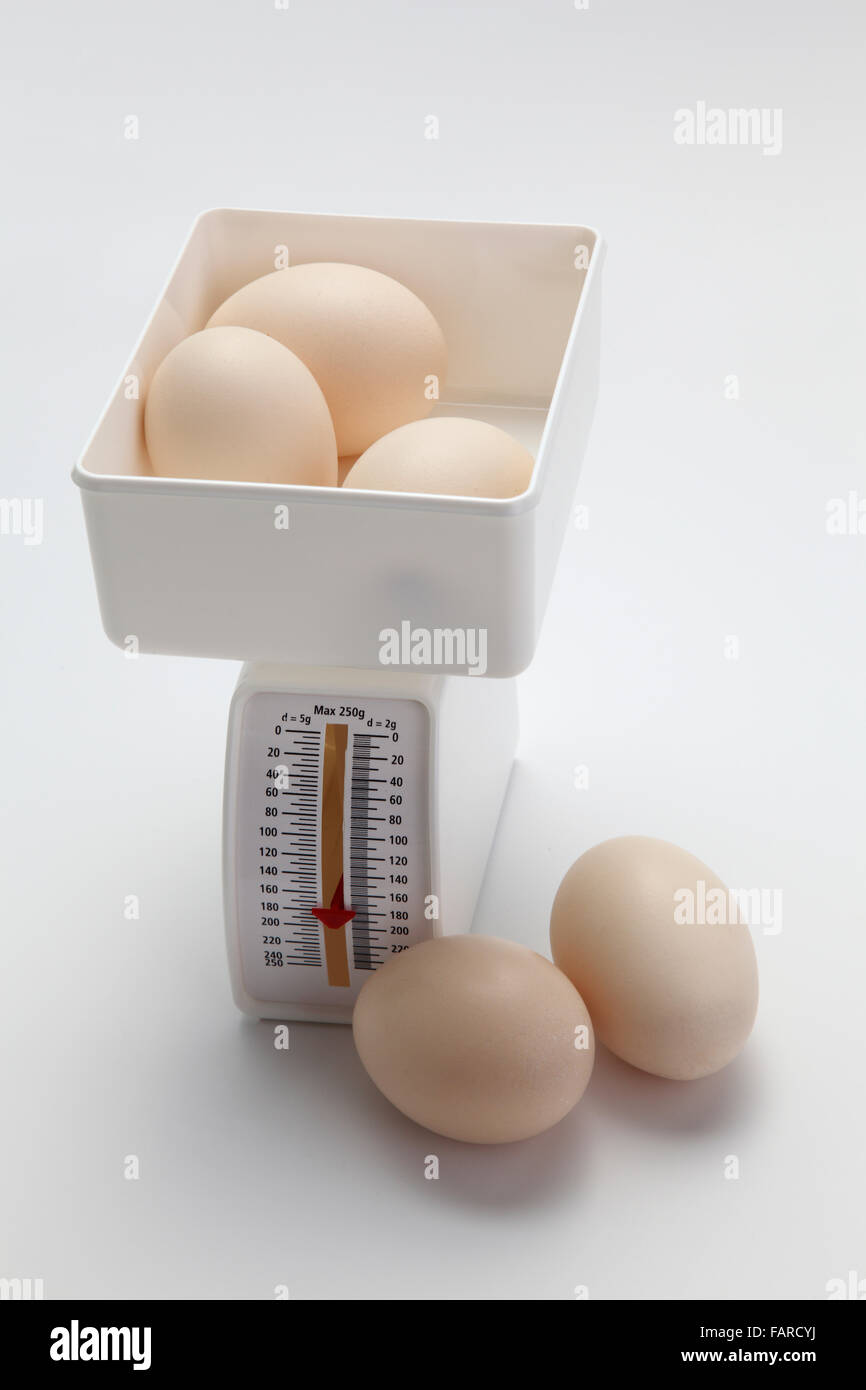 stock image of the egg on the scale Stock Photo - Alamy