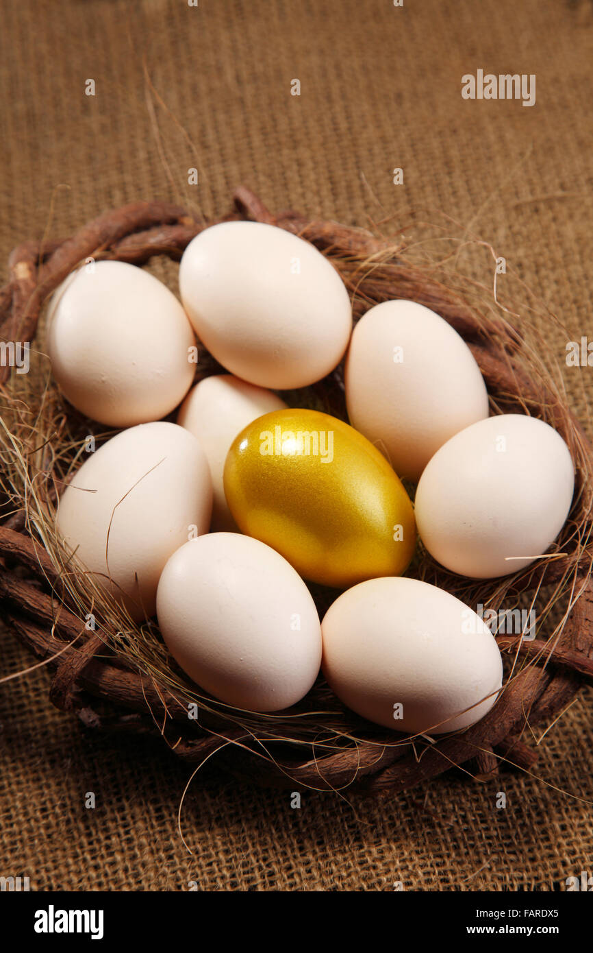 nest of egg with one golden egg Stock Photo - Alamy