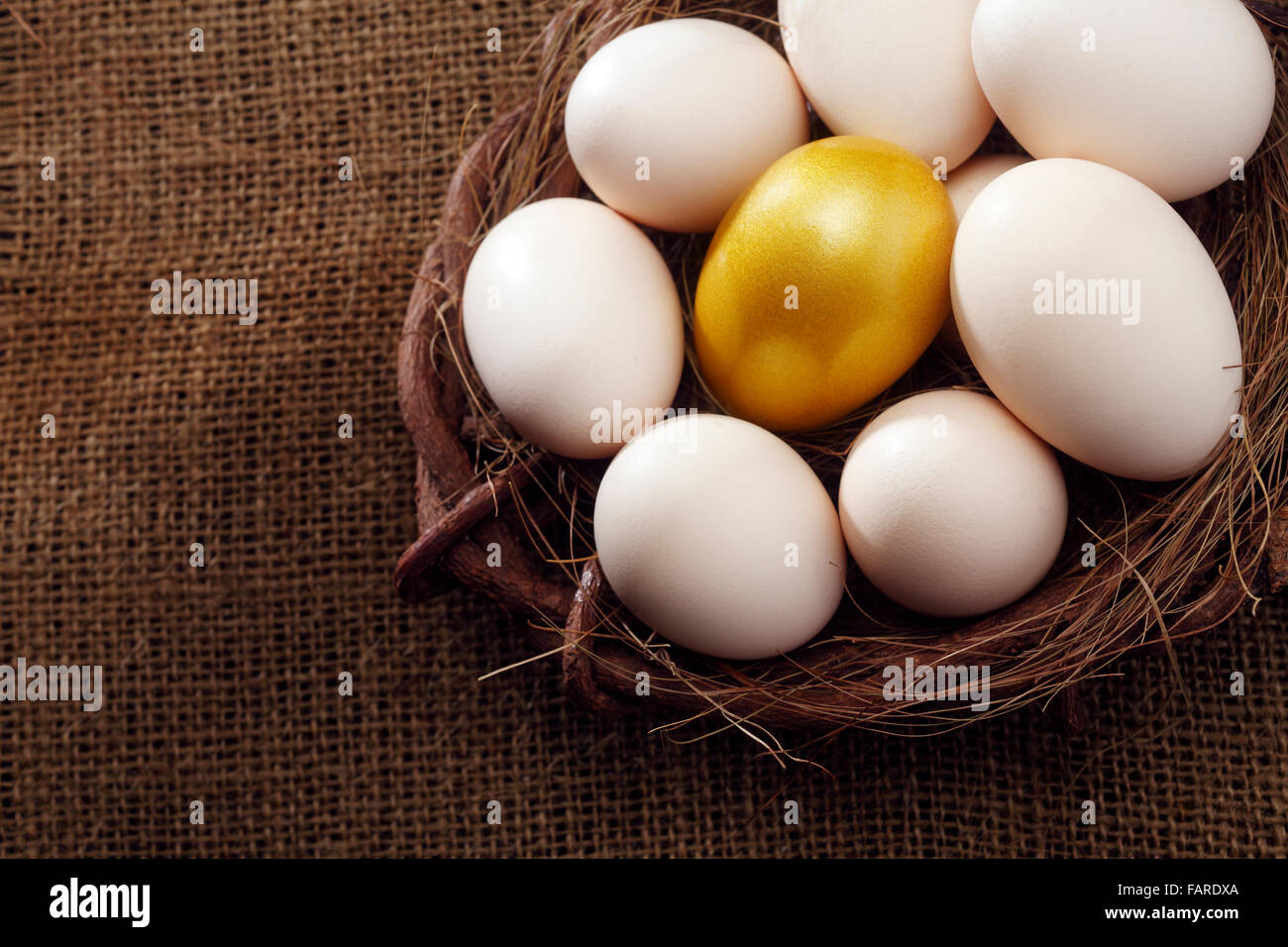 nest of egg with one golden egg Stock Photo - Alamy