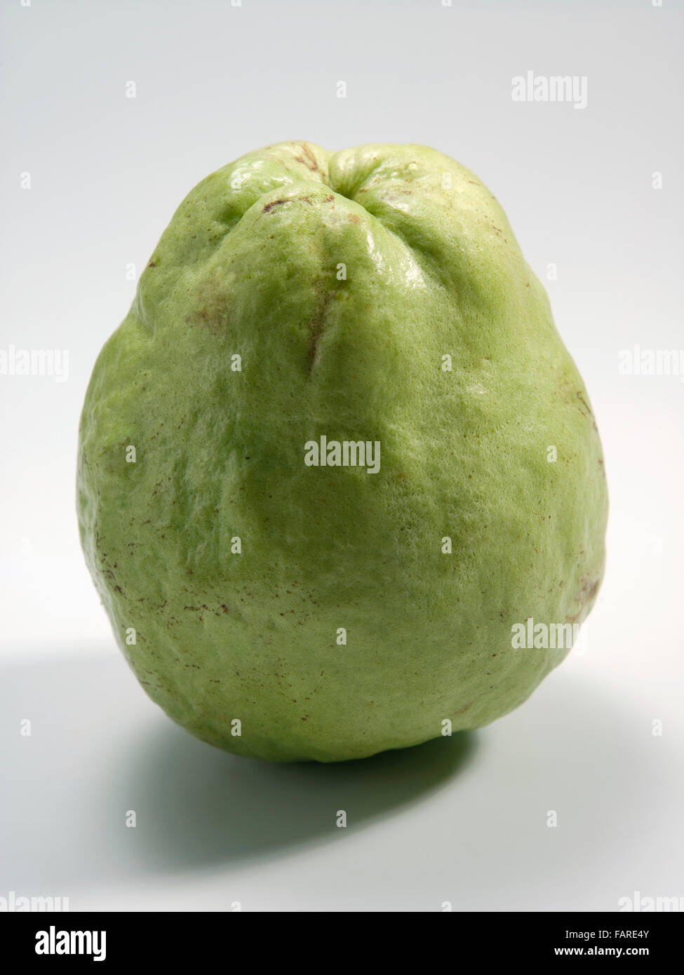 Single guava isolated against plain background, fruit with green color ...