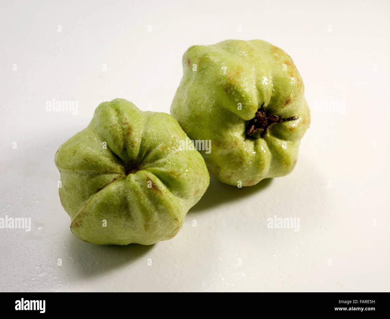 A guava fruit, of the common apple guava (Psidium guajava) variety ...