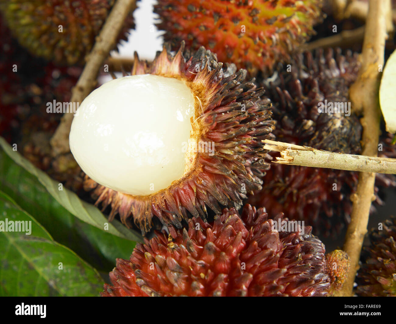 Buah Pulasan