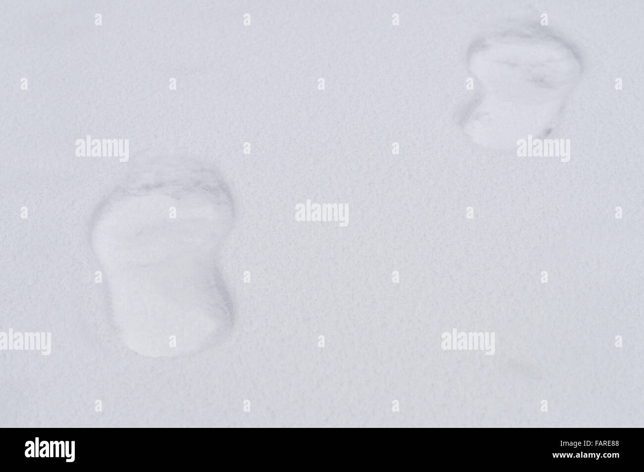 Pair of footprints on fresh snow, winter background Stock Photo - Alamy