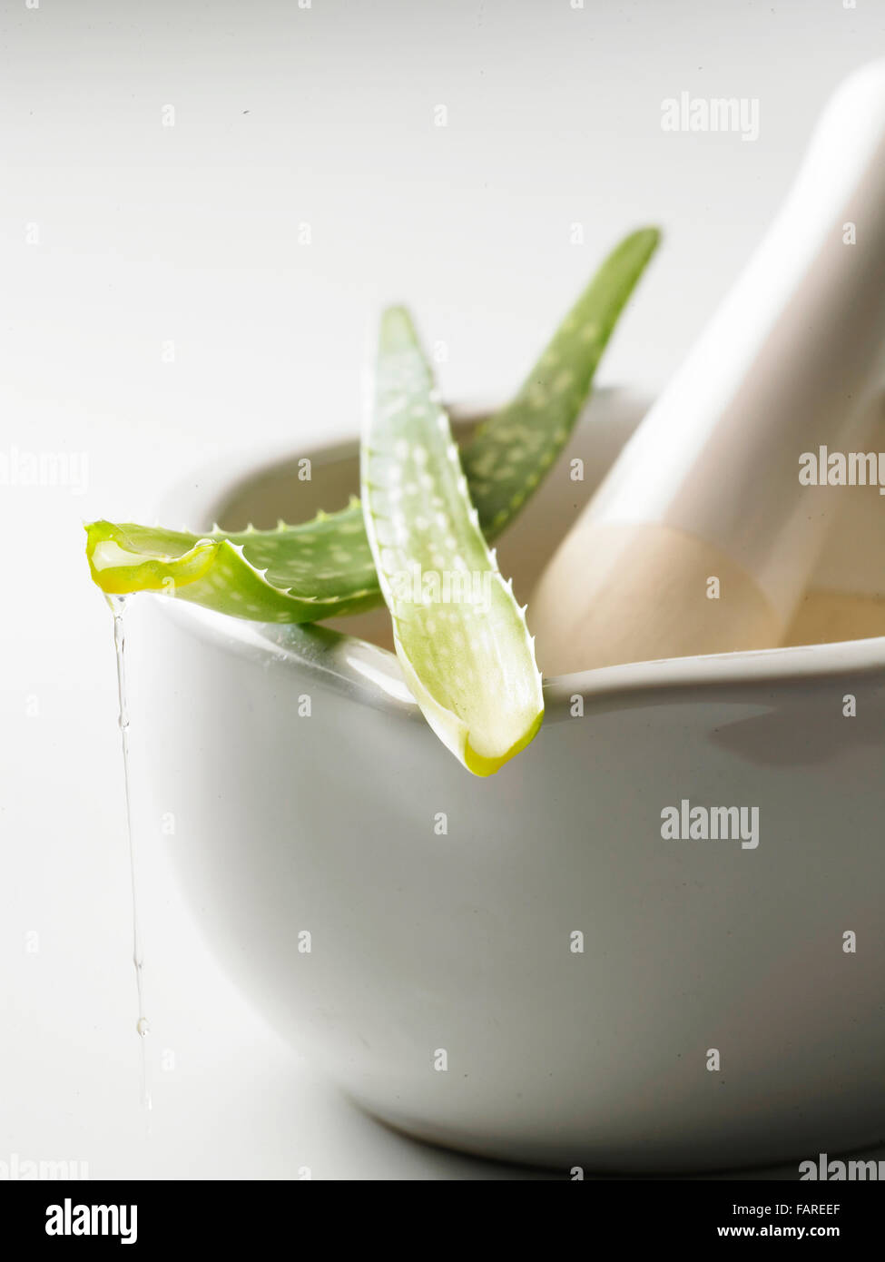 Aloe vera with drops Stock Photo - Alamy