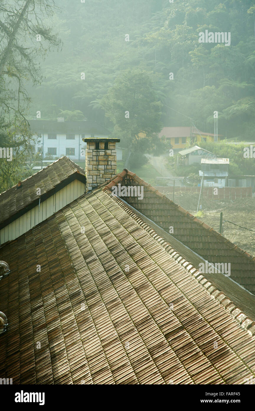 A view from a roof top to the green forest and rooftops Stock Photo - Alamy