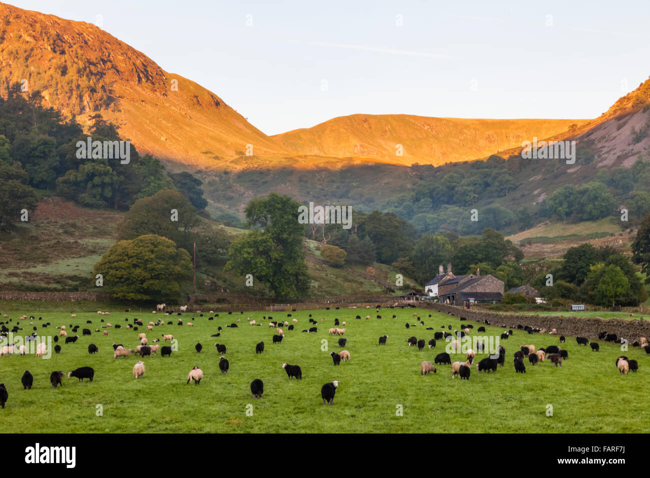 Cumbria farm buildings hi-res stock photography and images - Alamy