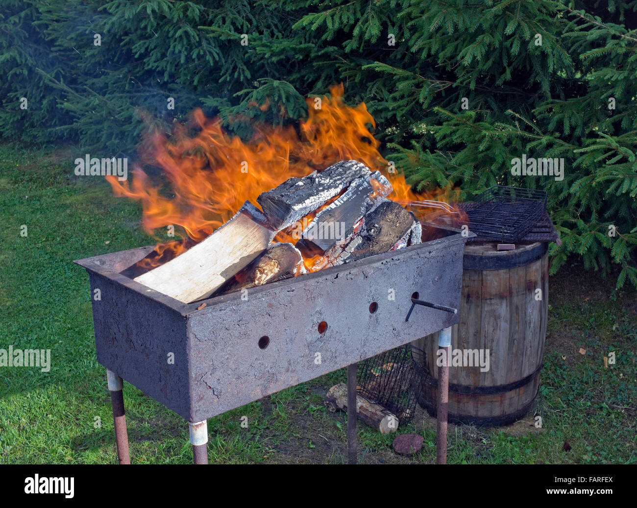 Rust fir tree hi-res stock photography and images - Alamy