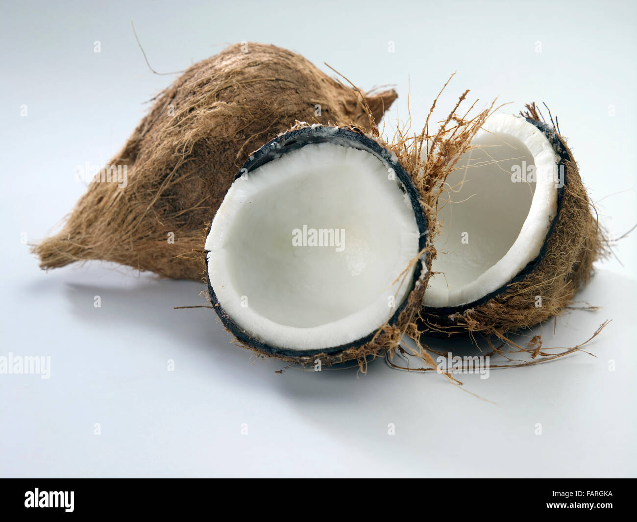 One fresh coconuts and one opened on a plain background Stock Photo - Alamy