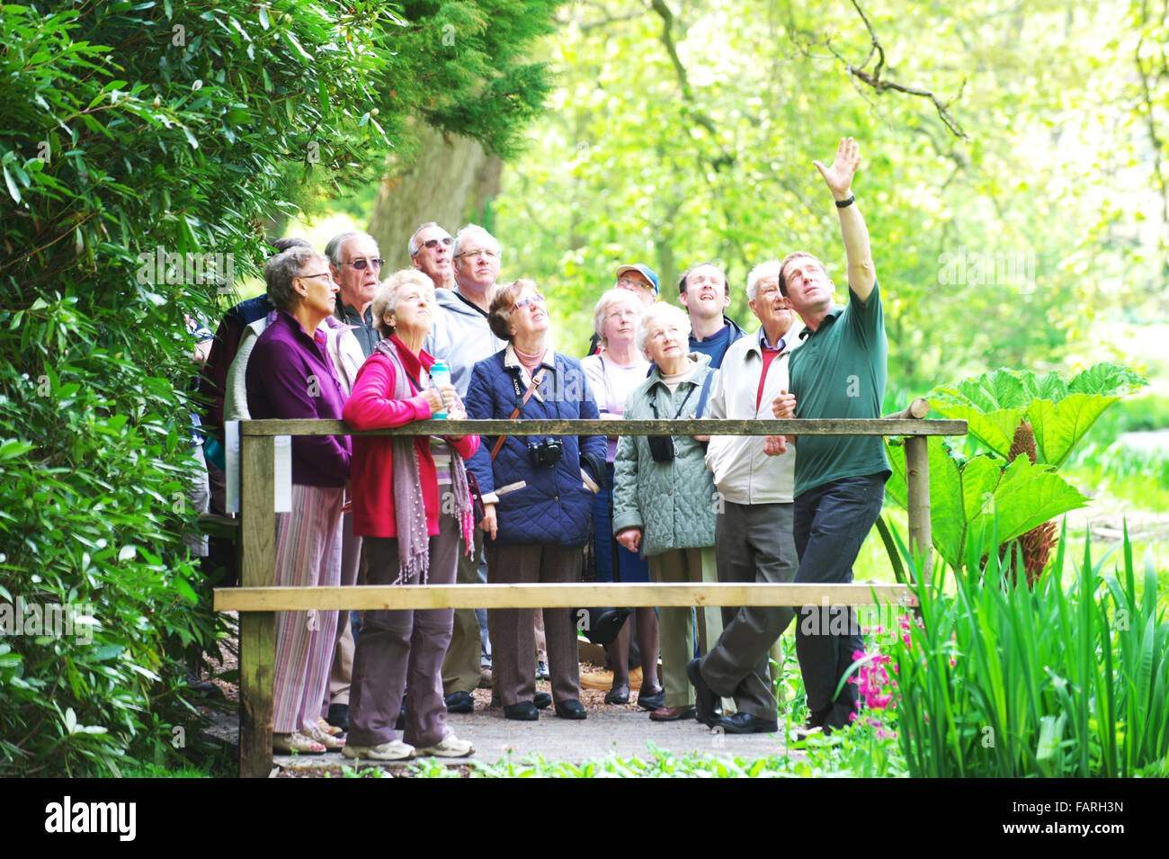 Elderly walk nature hi-res stock photography and images - Alamy