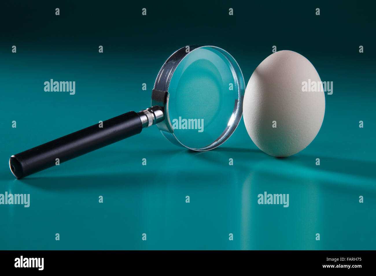 Egg and magnifier, Isolated on colour background Stock Photo - Alamy
