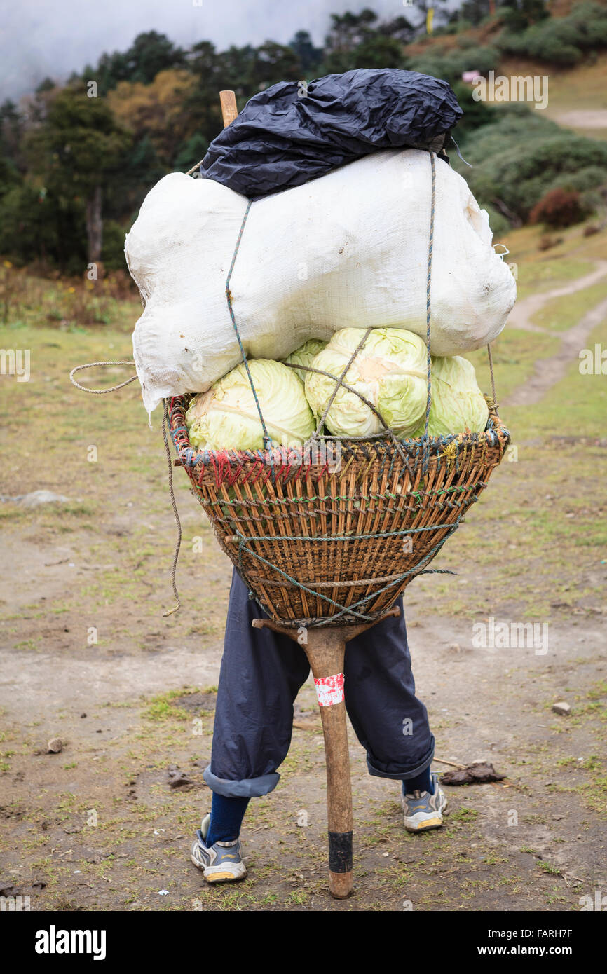 Indian man porter carrying hi-res stock photography and images - Alamy