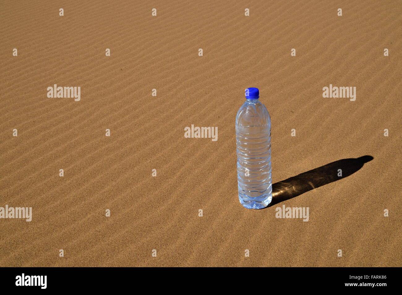 Bottle of water in Sahara Stock Photo - Alamy