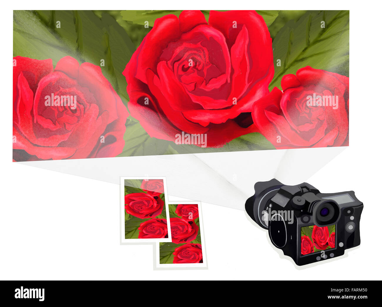 Camera with Photo and Frame Showing The Picture of Red Roses Stock ...