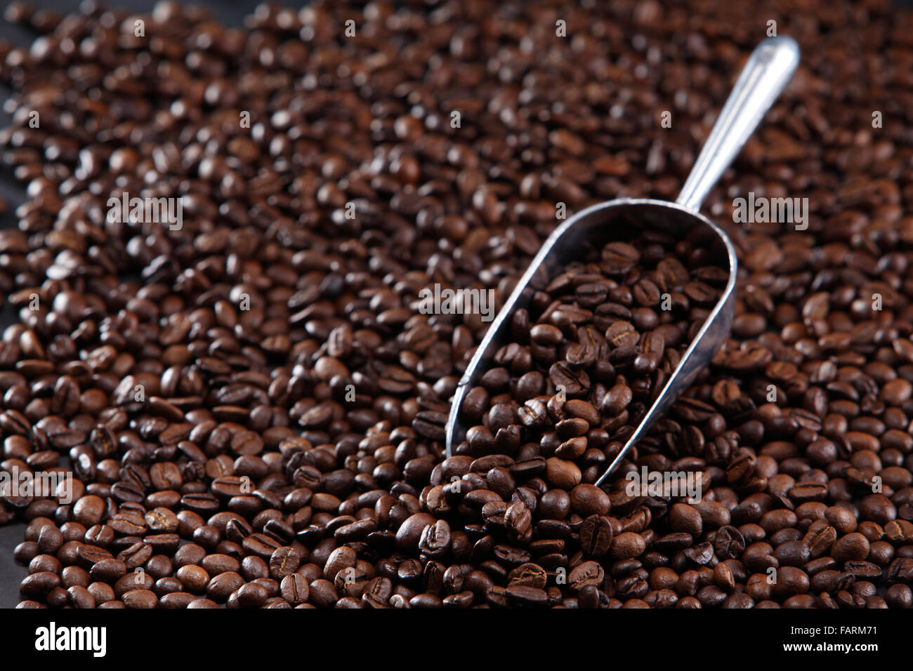 Stainless steel shovel hi-res stock photography and images - Alamy