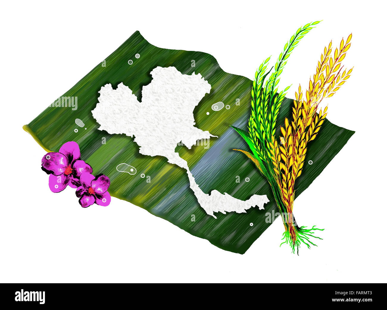 Ripe Rice, Green Rice and Boiled Rice of Thailand's Map Shape with ...