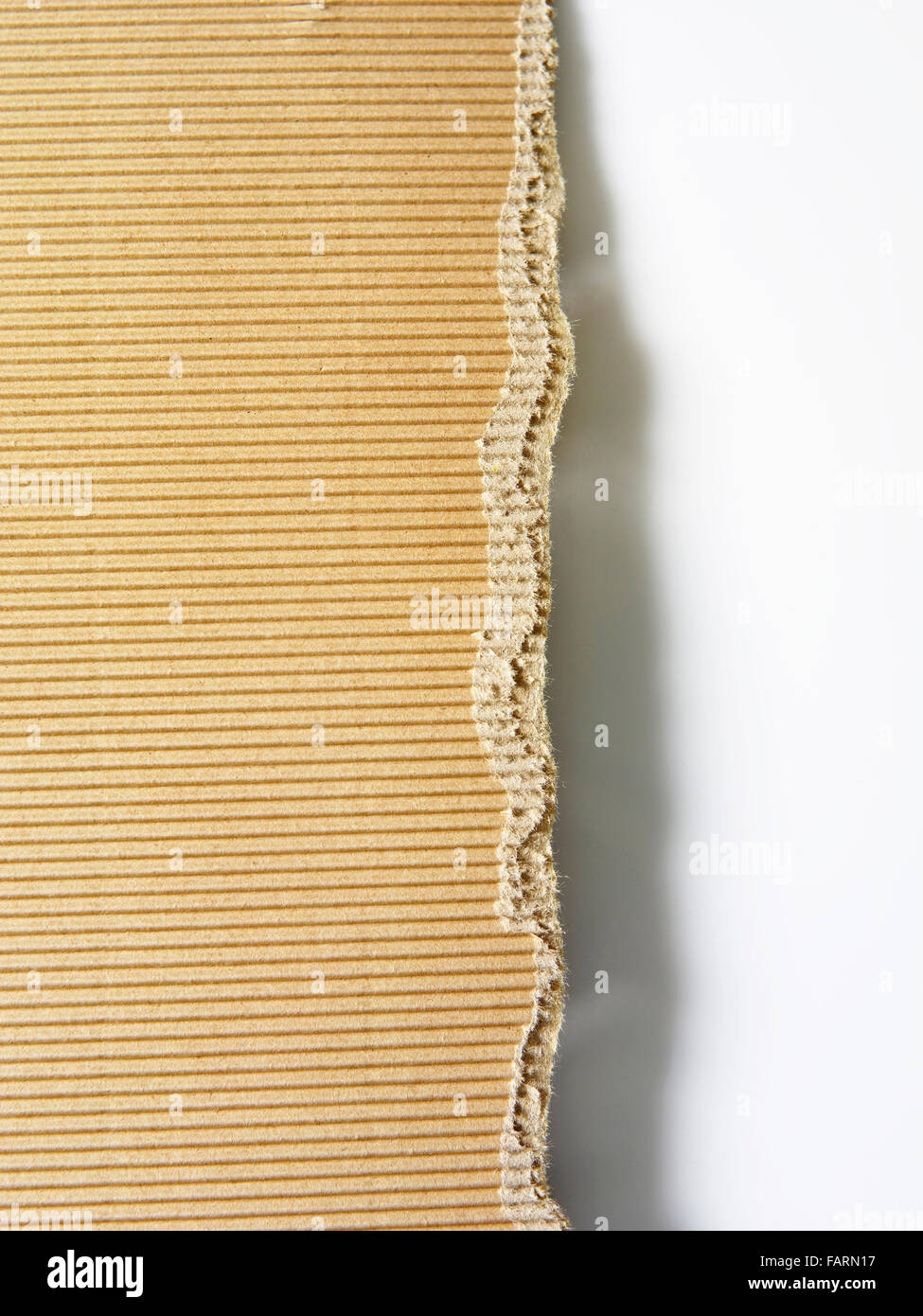 texture of the cardboard on the plain background Stock Photo - Alamy