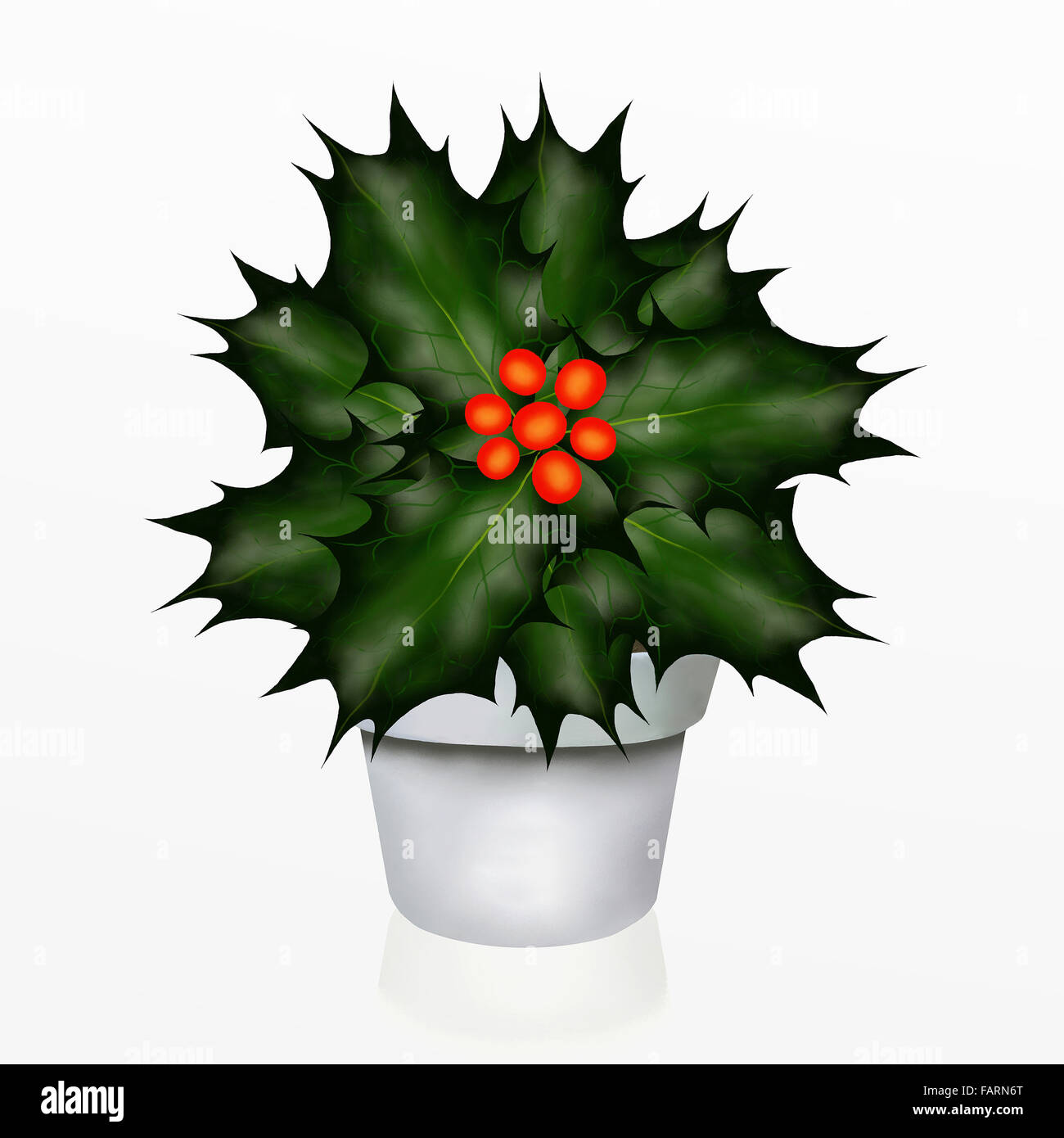 A Little Christmas Holly Tree and Red Berry in White Pot, The ...
