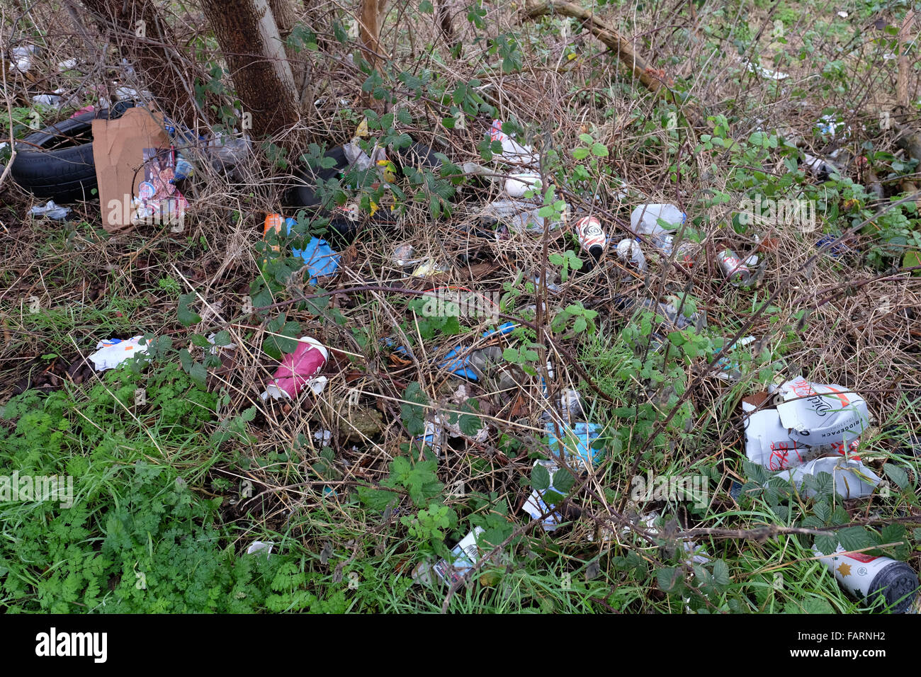 Rubbish dumped in a field next to the layby on the a6 loughborough road ...