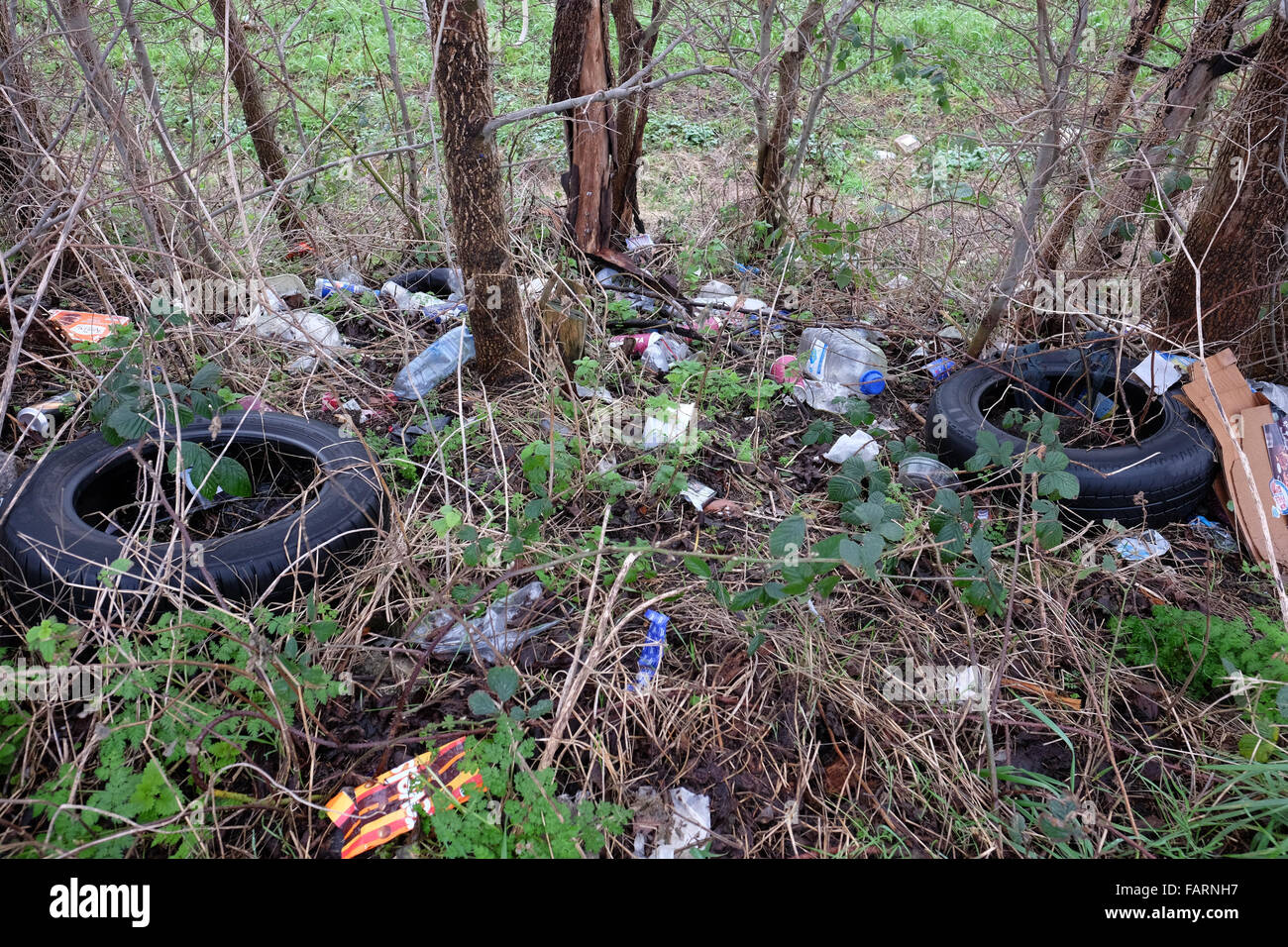 Rubbish dumped in a field next to the layby on the a6 loughborough road ...