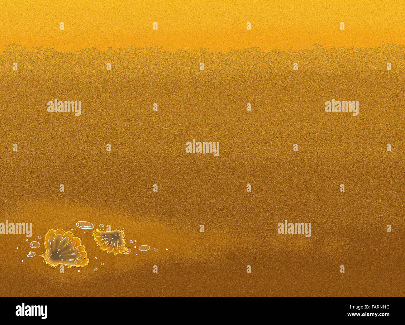 Hand Drawing of Two Shells and Little Drop of Water Arranged on Sand ...