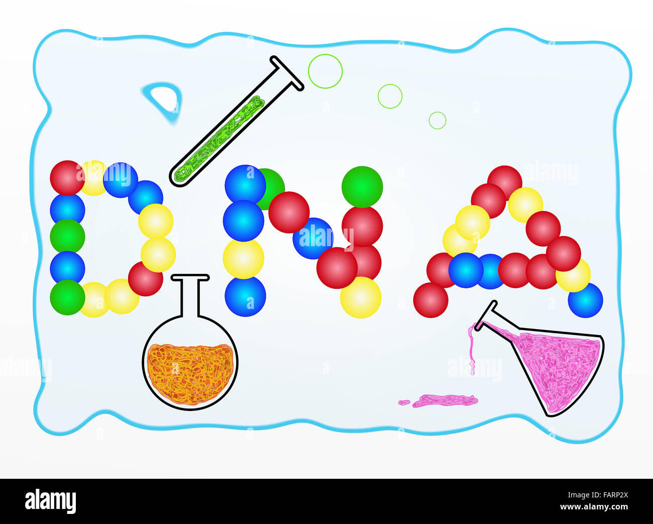 The Words DNA Build From Green, Blue, Red and Yellow Balls with ...