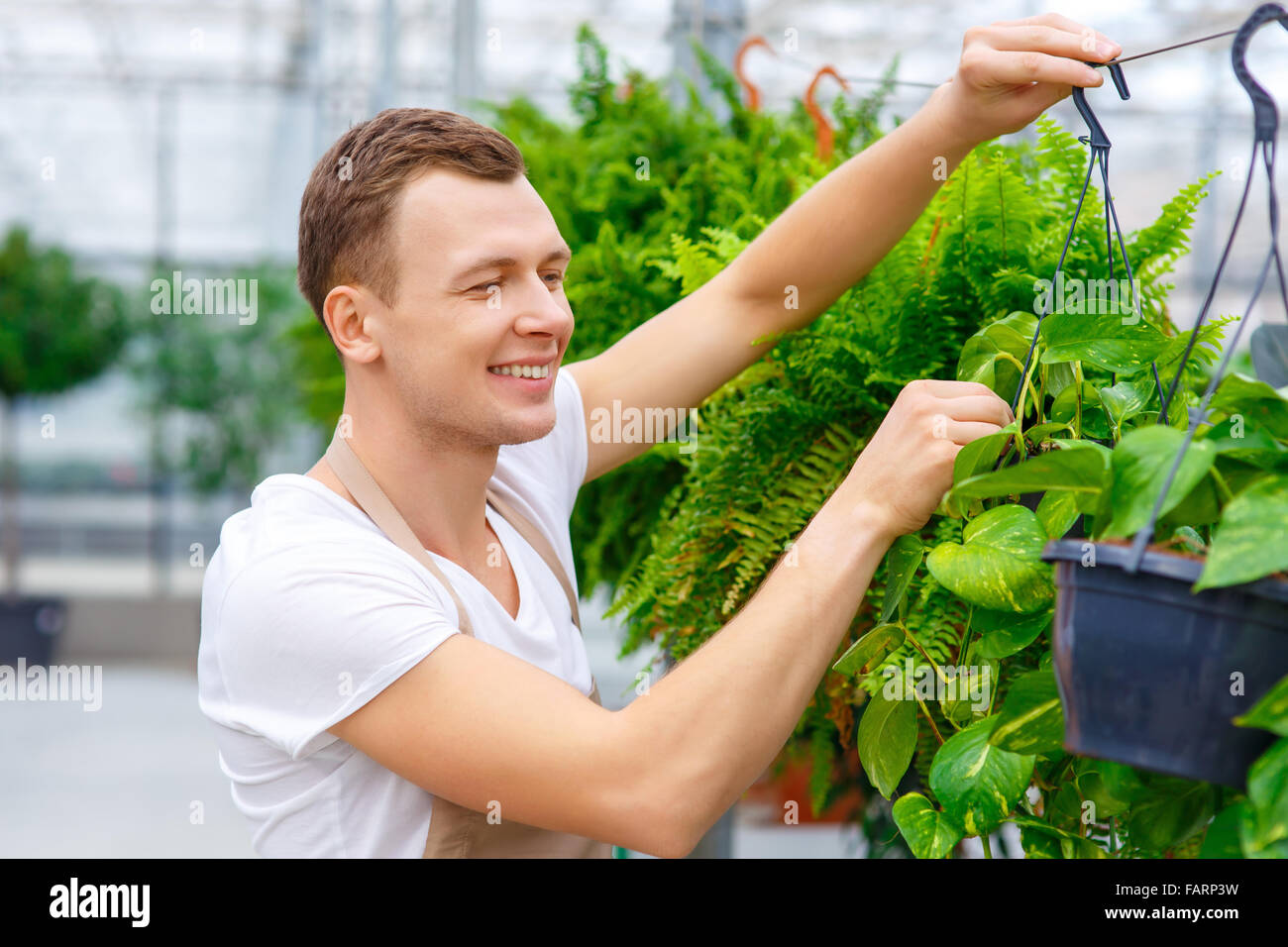 Beautiful glass orangery flowers hi-res stock photography and images ...