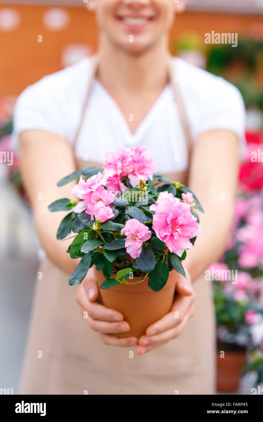 Presenting a flower hi-res stock photography and images - Alamy